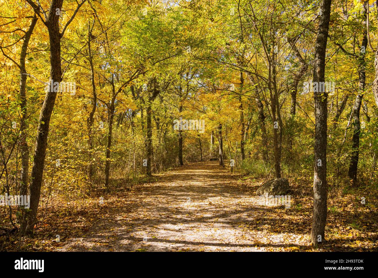 Fall color of the nature trail in Chickasaw National Recreation Area at ...
