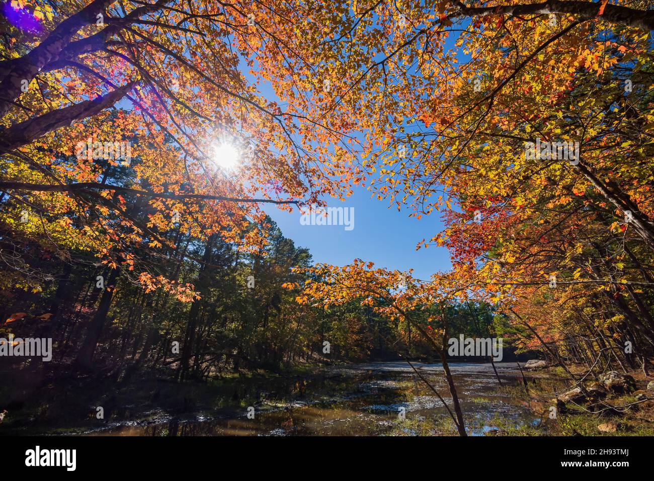 Nature autumn fall color of Robbers Cave State Park at Oklahoma Stock ...