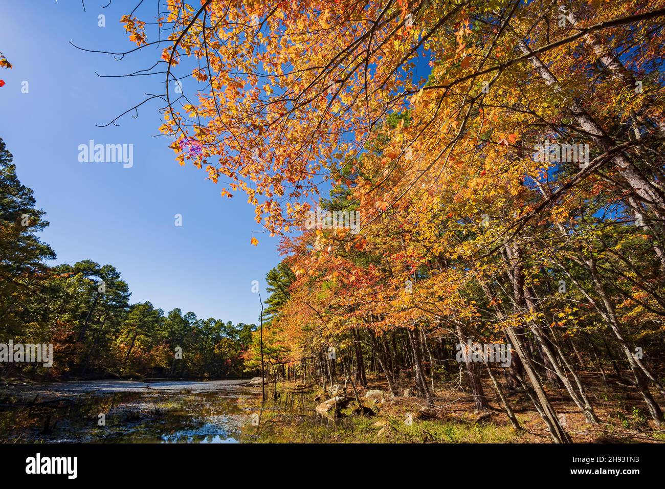 Nature autumn fall color of Robbers Cave State Park at Oklahoma Stock ...