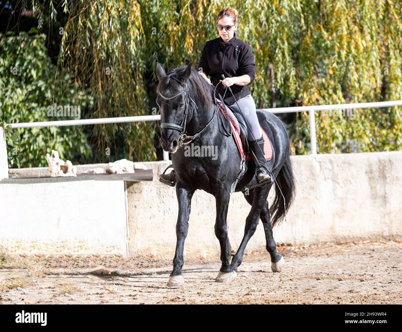 riding girl are training her black horse Stock Photo - Alamy