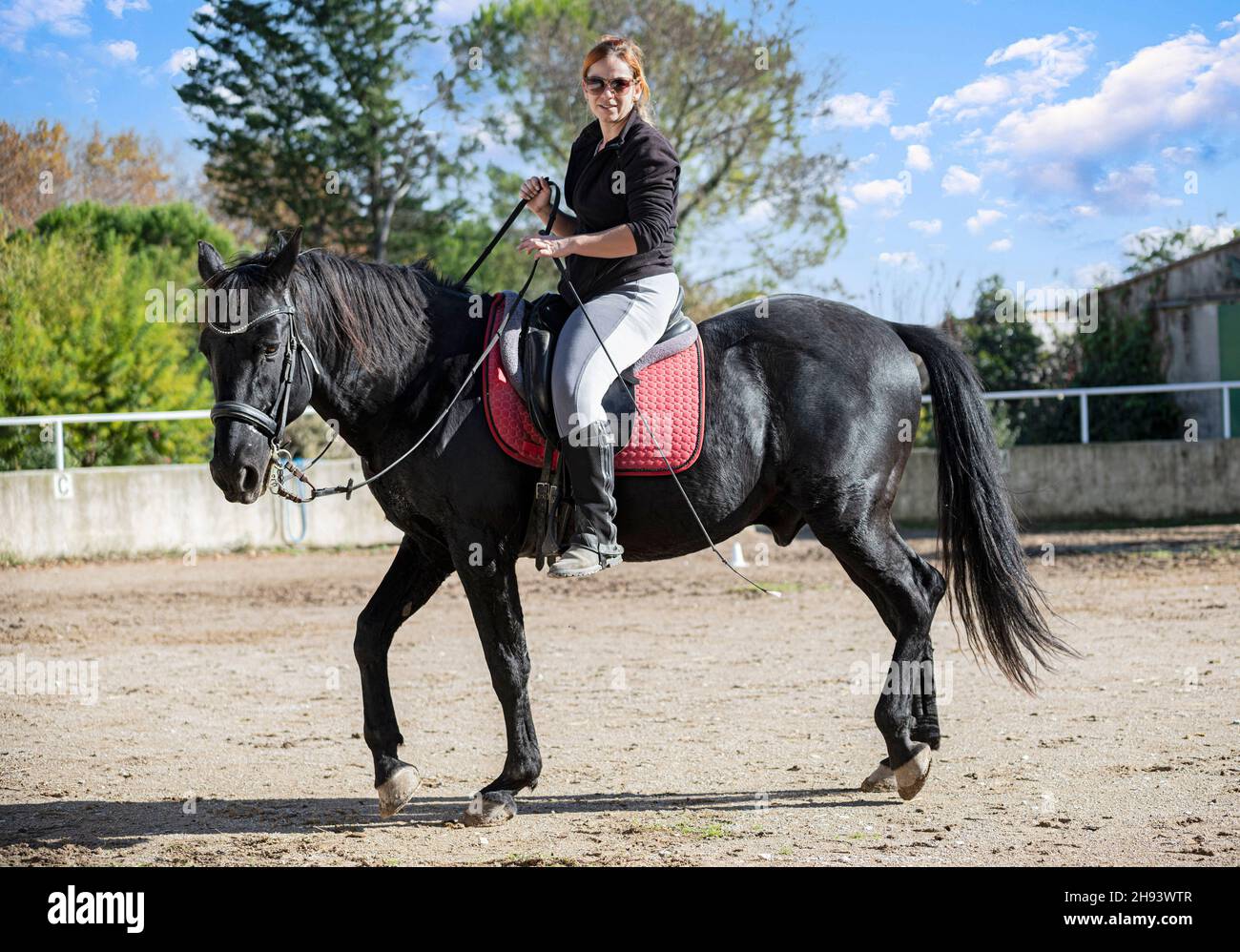 riding girl are training her black horse Stock Photo - Alamy