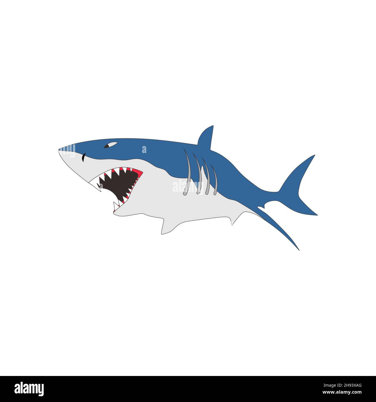 Skin animal in background Cut Out Stock Images & Pictures - Alamy