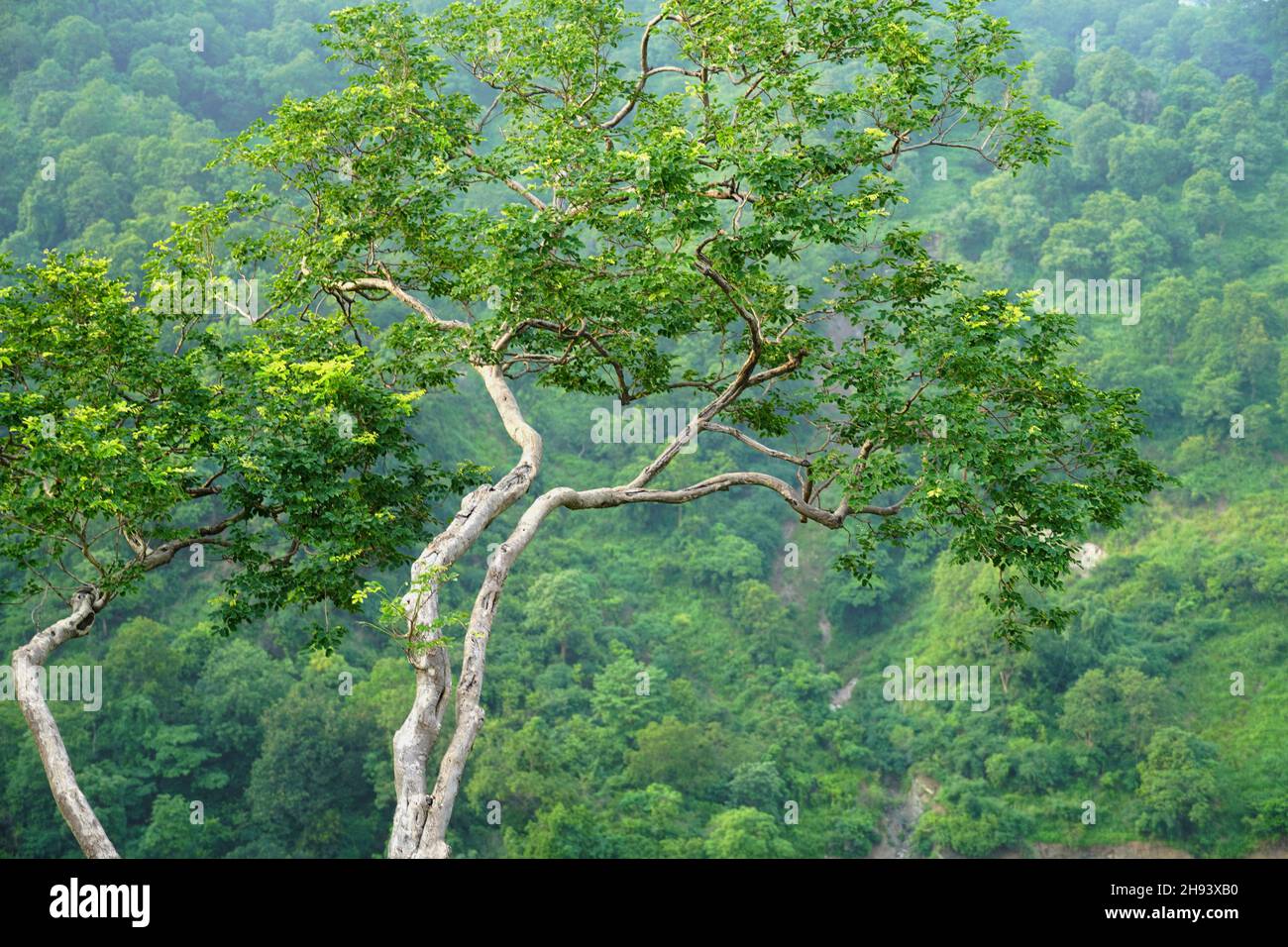 Deep trench underwater hi-res stock photography and images - Alamy