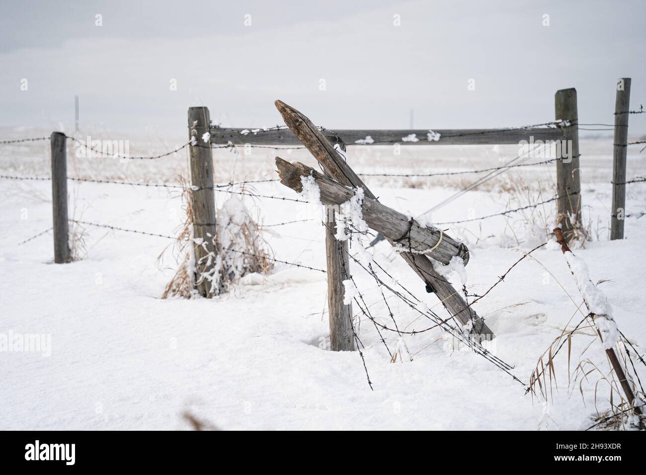Wire fenceand posts around a field in winter Stock Photo - Alamy