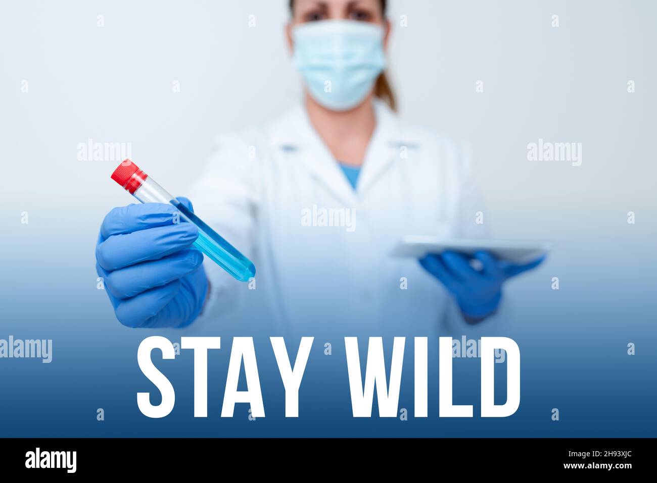 Sign displaying Stay Wild. Business idea keep being you and doing what ...