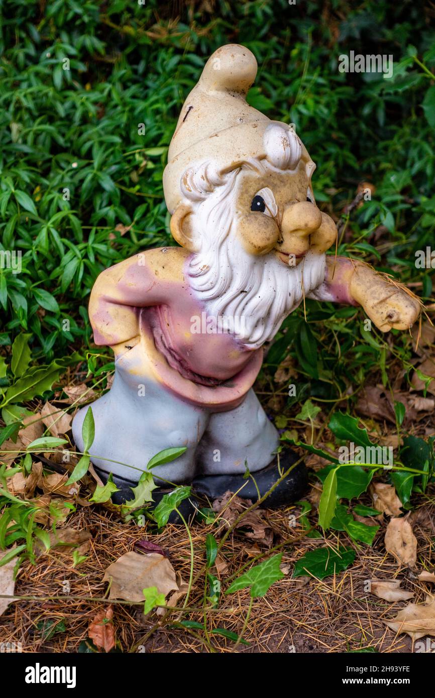 Garden gnome in House Garden in Yorkshire, England 2021 Stock Photo - Alamy