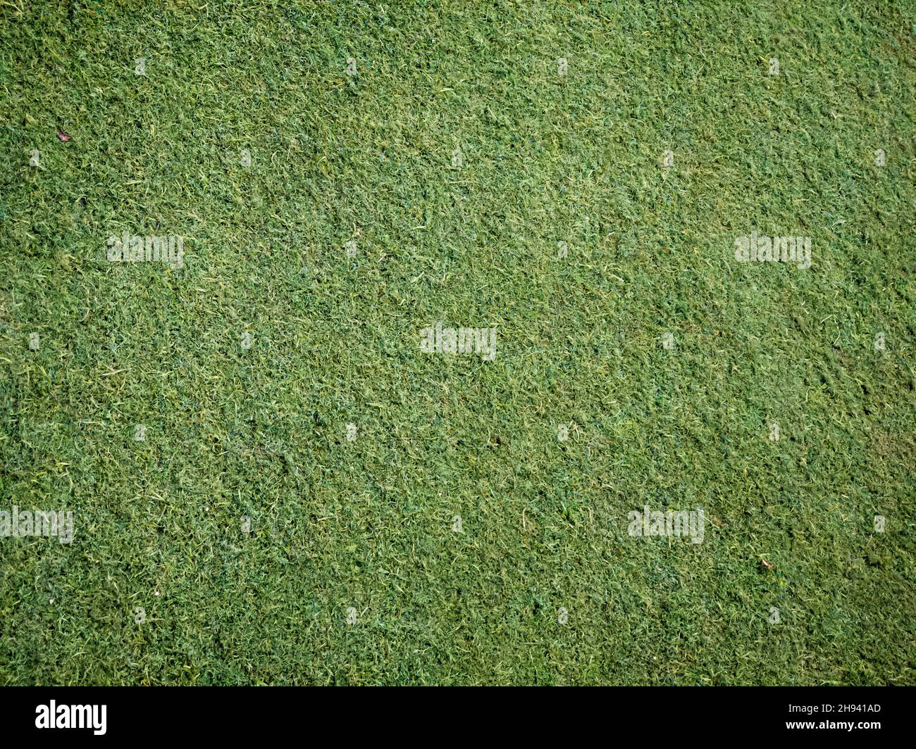 Green grass texture background grass garden green background football ...