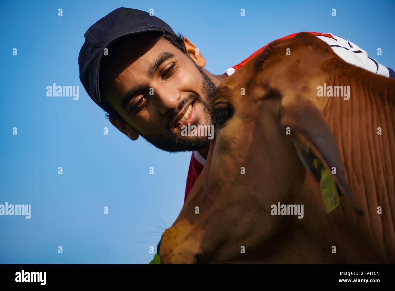 Man milk cow hi-res stock photography and images - Alamy