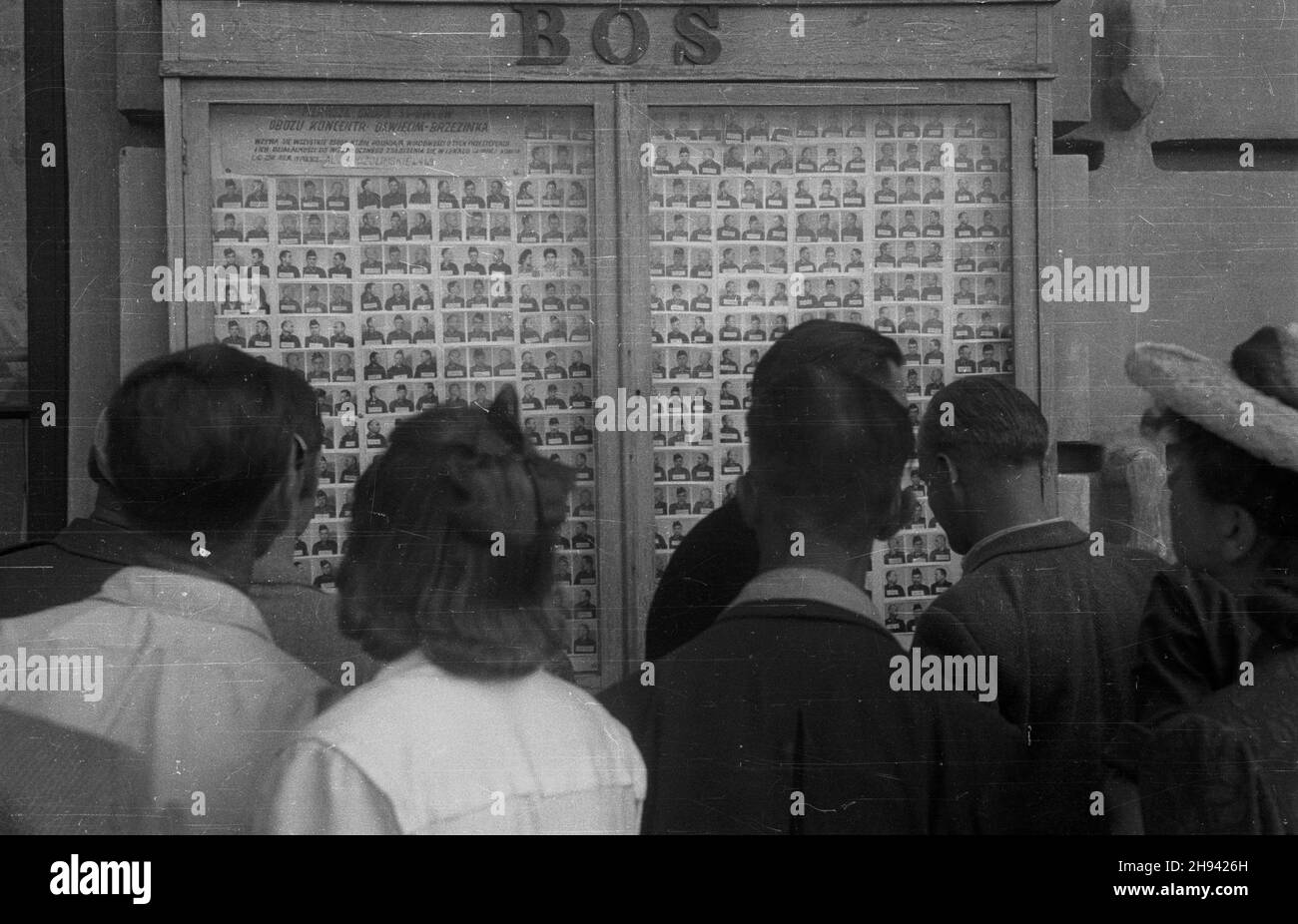 Warszawa, 1947-07. Gablota Biura Odbudowy Stolicy na œcianie hotelu ...