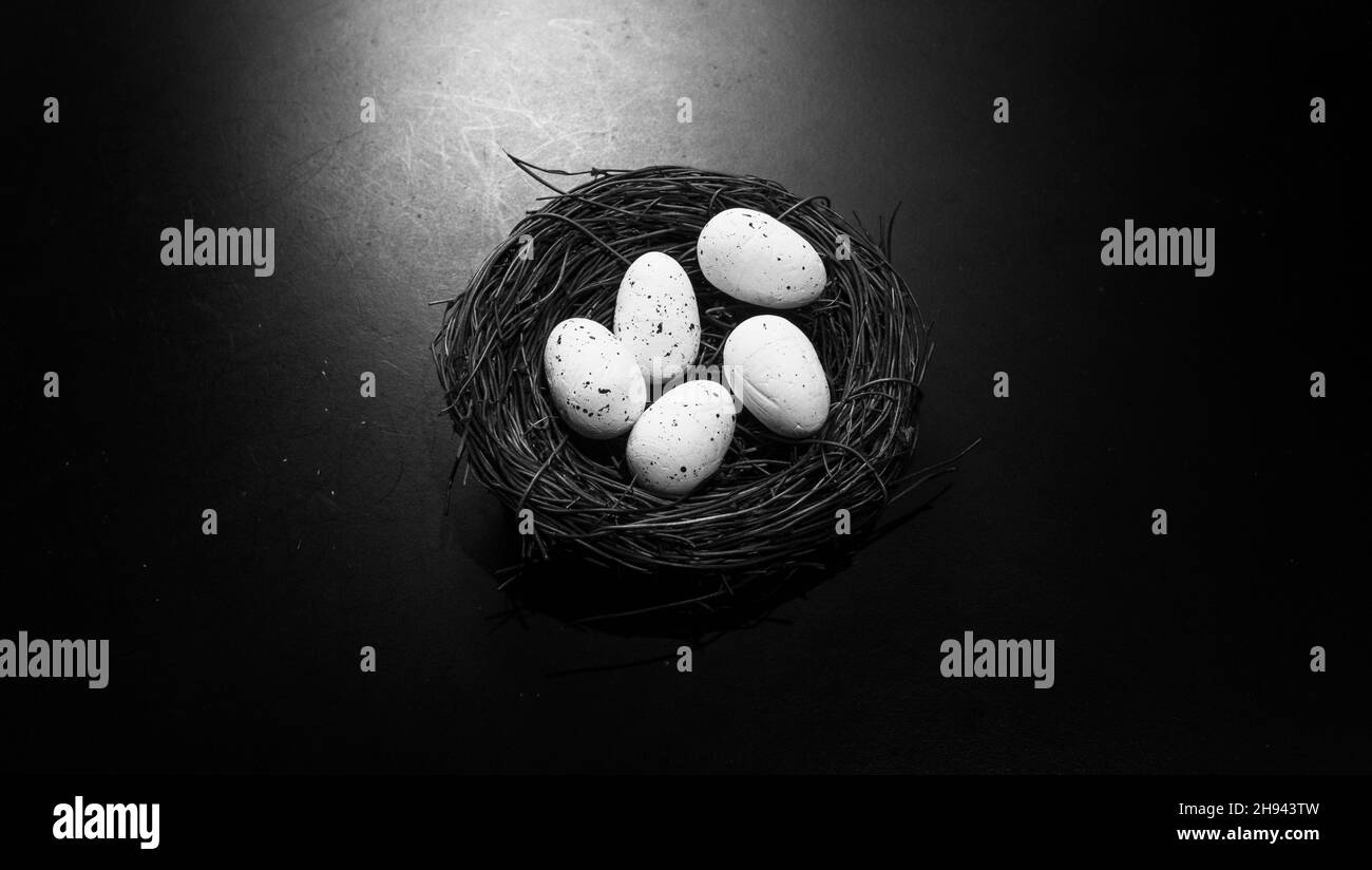 Nest eggs bird blue Black and White Stock Photos & Images - Alamy