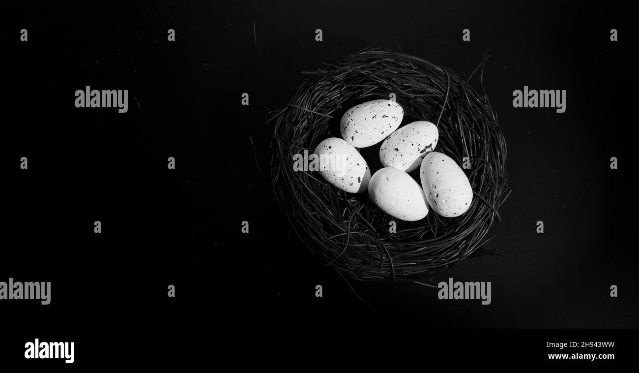 Birds nest with eggs Black and White Stock Photos & Images - Alamy