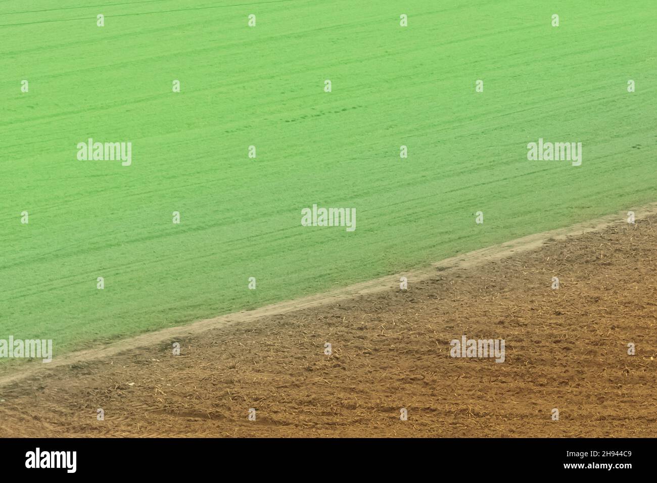 Border line green grass field and soil land crop background, top view ...