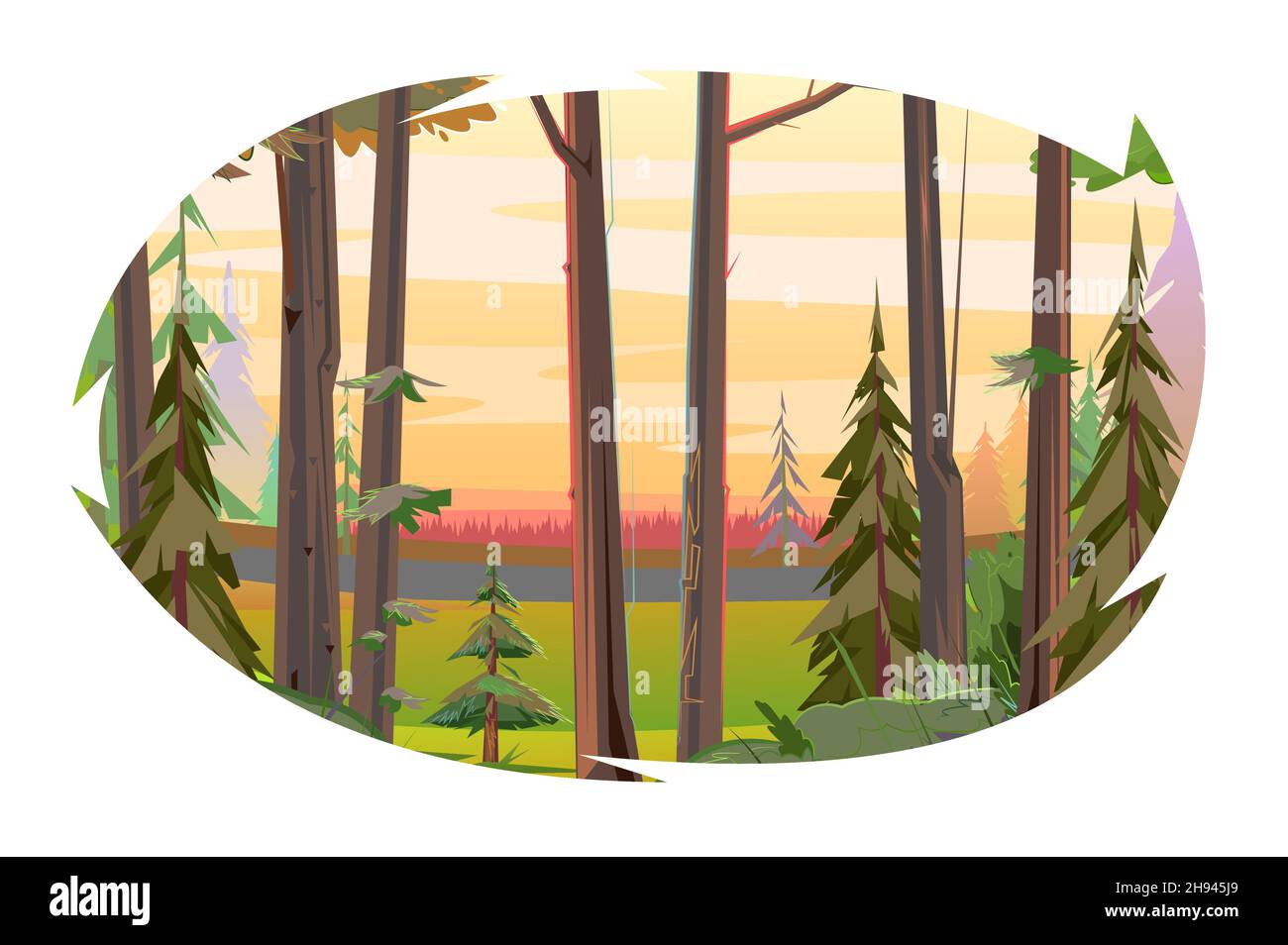 Morning in a pine forest. View of the rural hills. Sunrise or evening ...