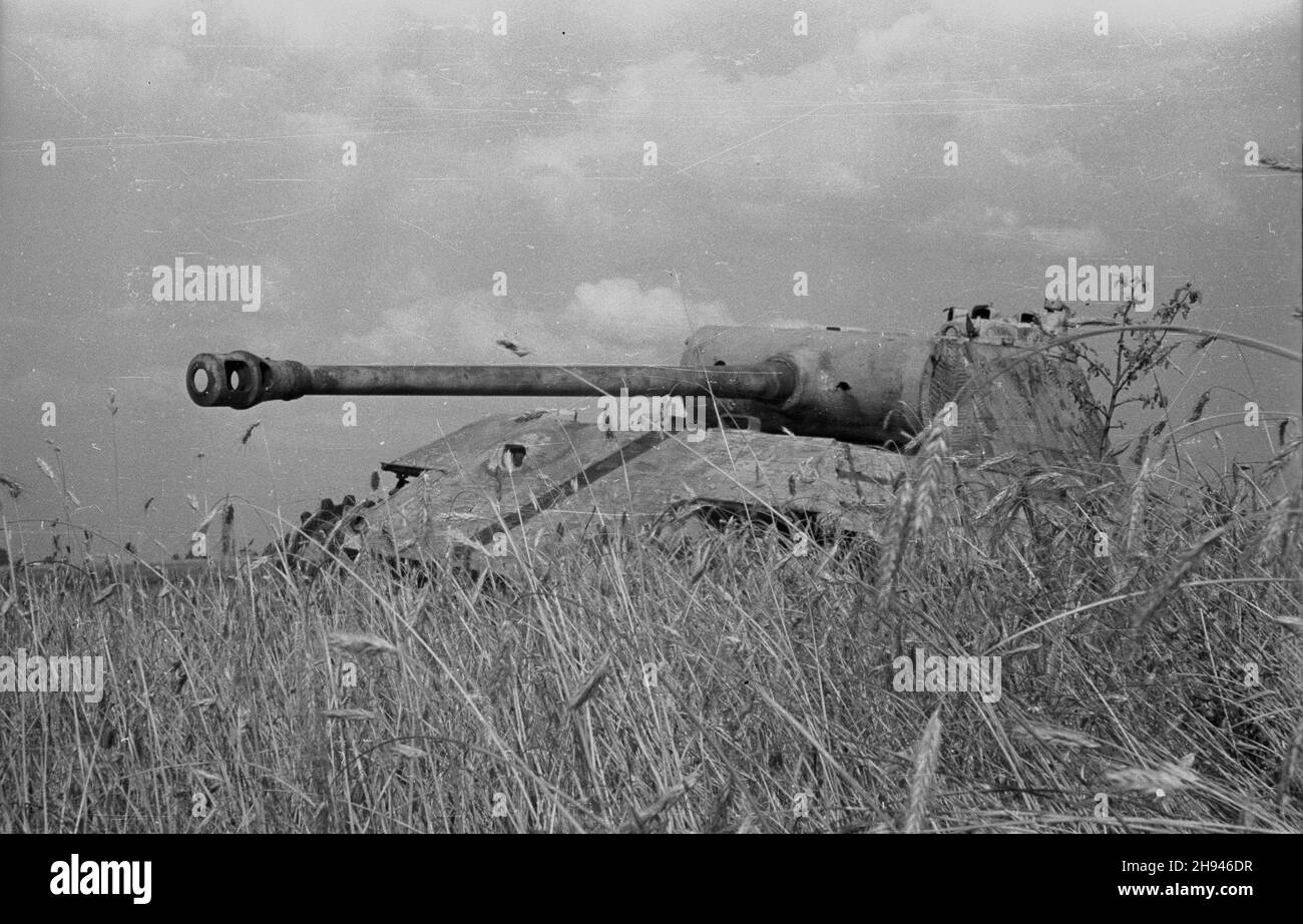 Panther tank hi-res stock photography and images - Alamy