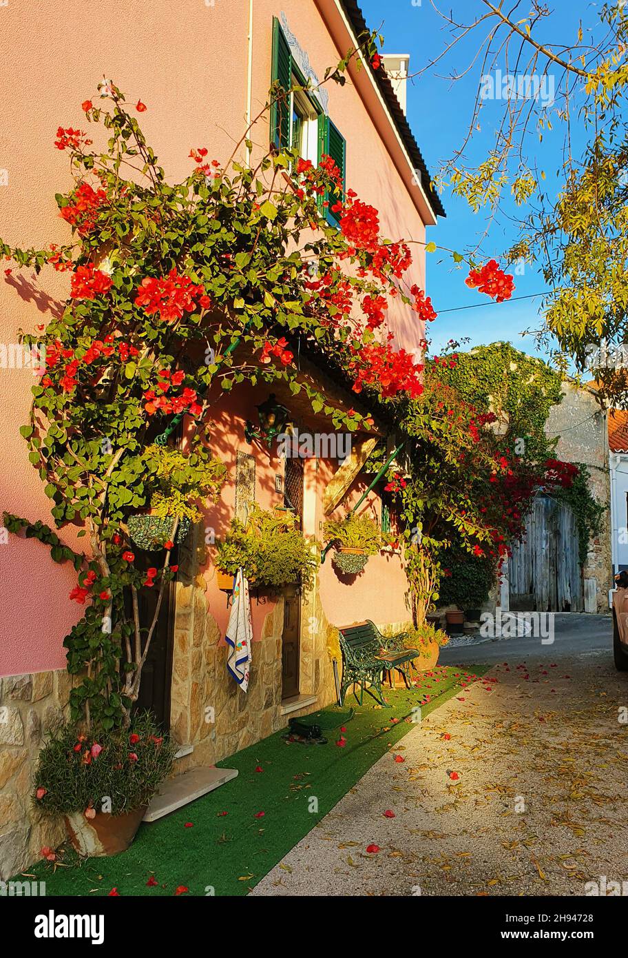 street with flowers Stock Photo - Alamy