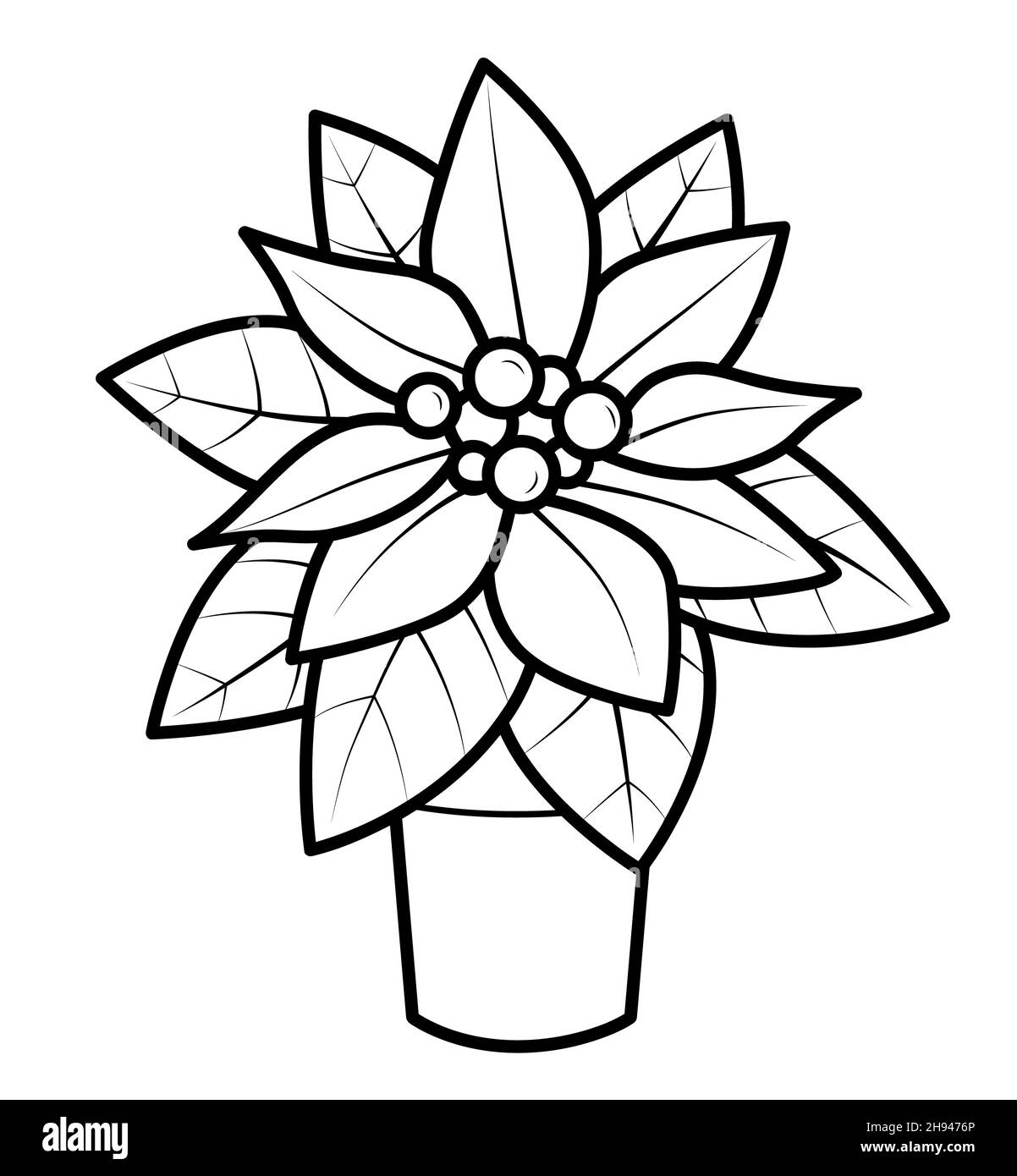 Christmas coloring book or page for kids. Poinsettia black and white ...