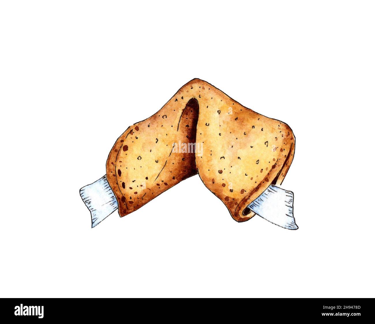 Fortune cookie watercolor painting. Chinese holiday cookies. Chinese ...