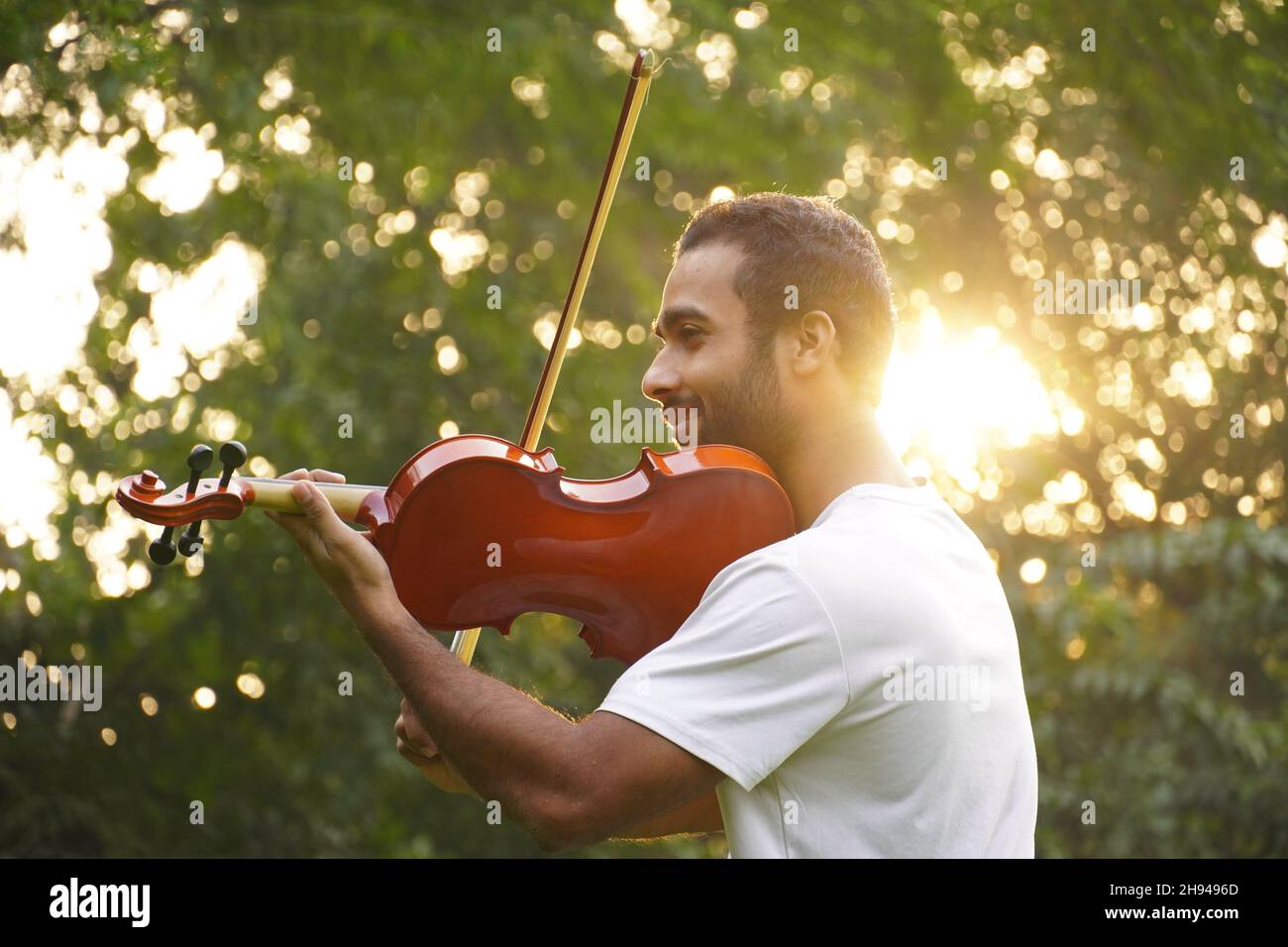 musician playing violin. Music and musical tone concept Stock Photo - Alamy