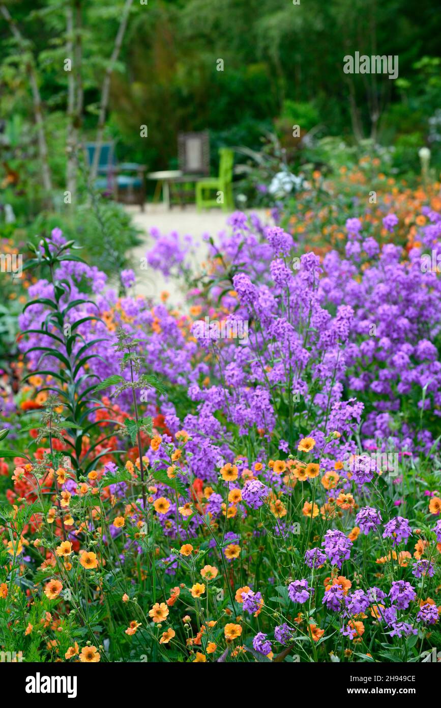densely planted border,dense planting scheme,bed,beds,borders,Lychnis ...