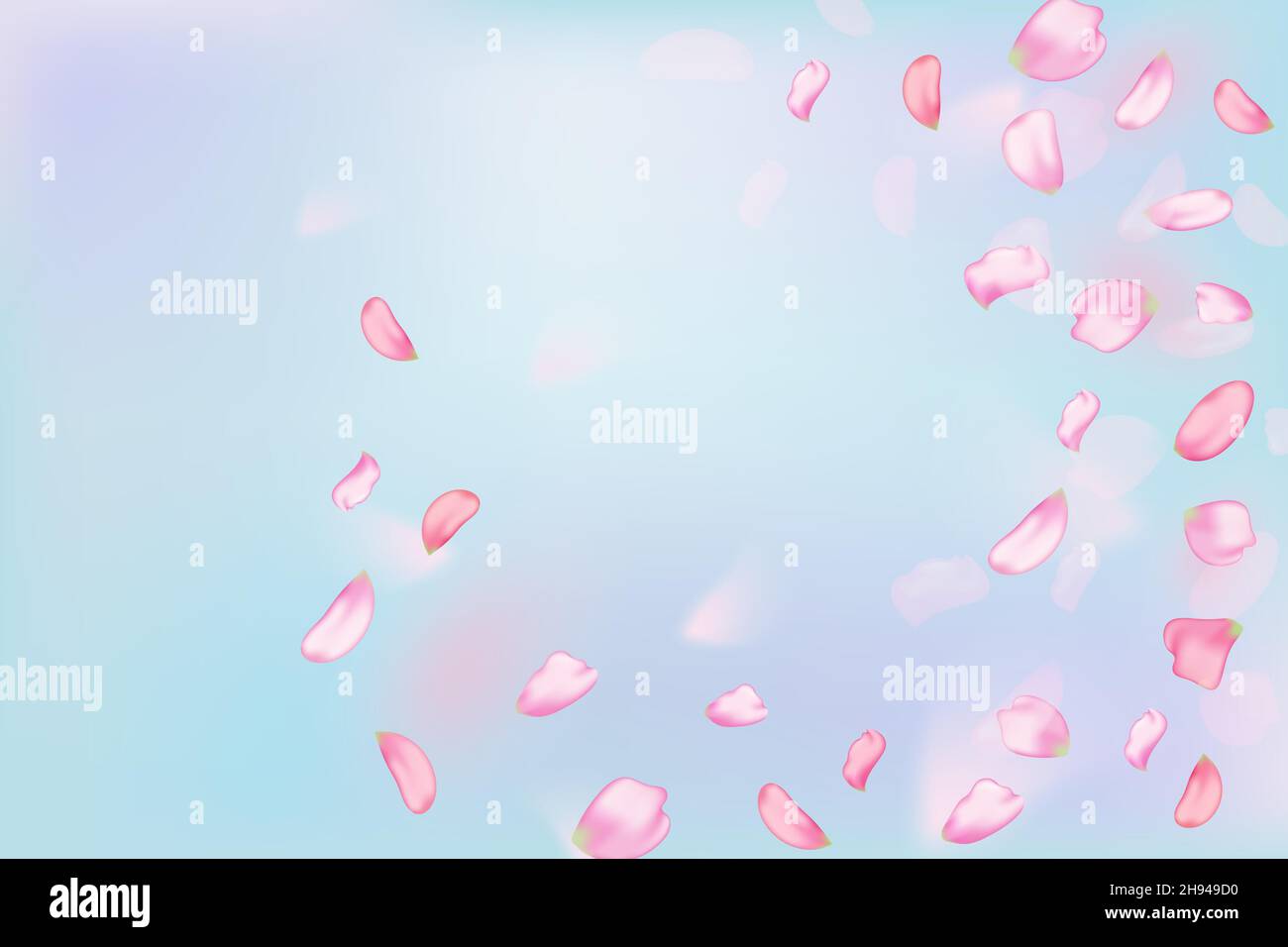 Nature horizontal background.Pink falling sakura petals and flowers ...