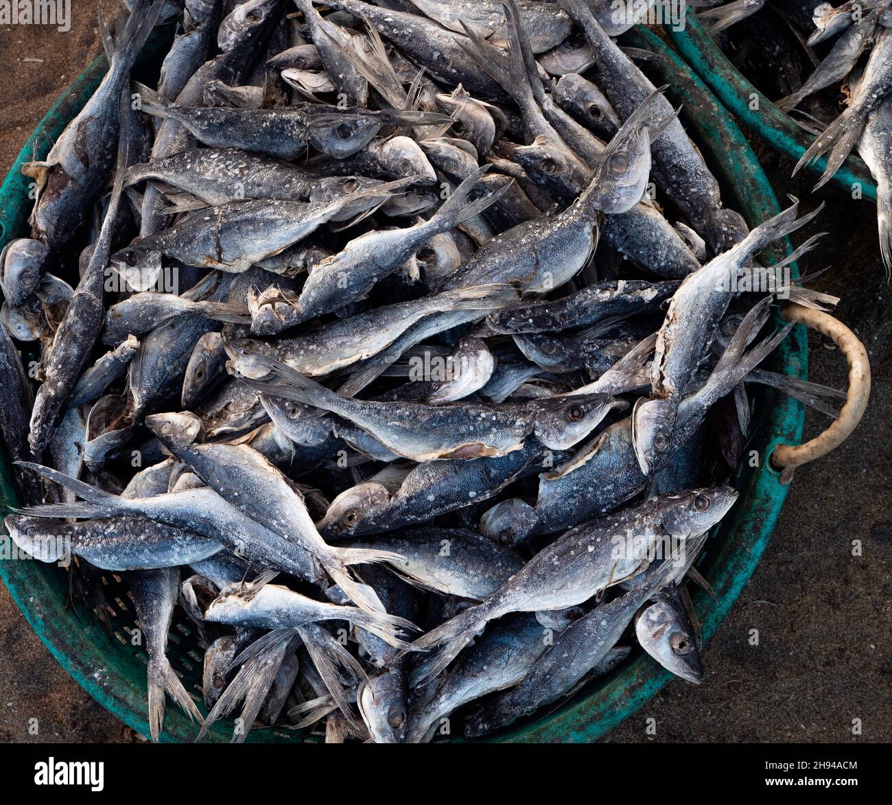 Close up of dry fish in Sri Lanka Stock Photo - Alamy