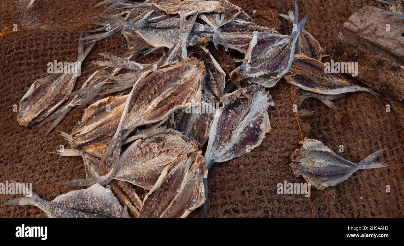 Close up of dry fish in Sri Lanka Stock Photo - Alamy