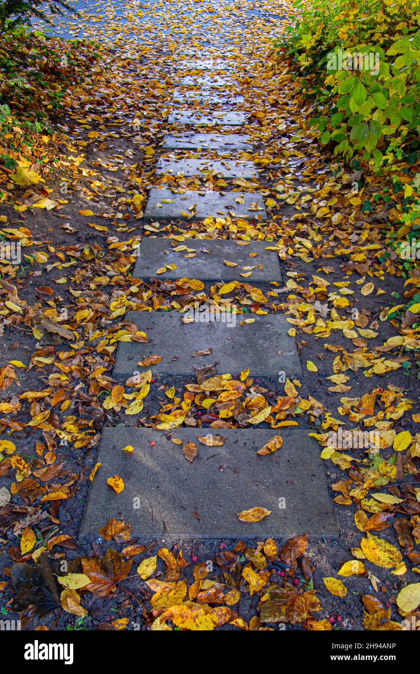 Concrete slab garden hi-res stock photography and images - Alamy