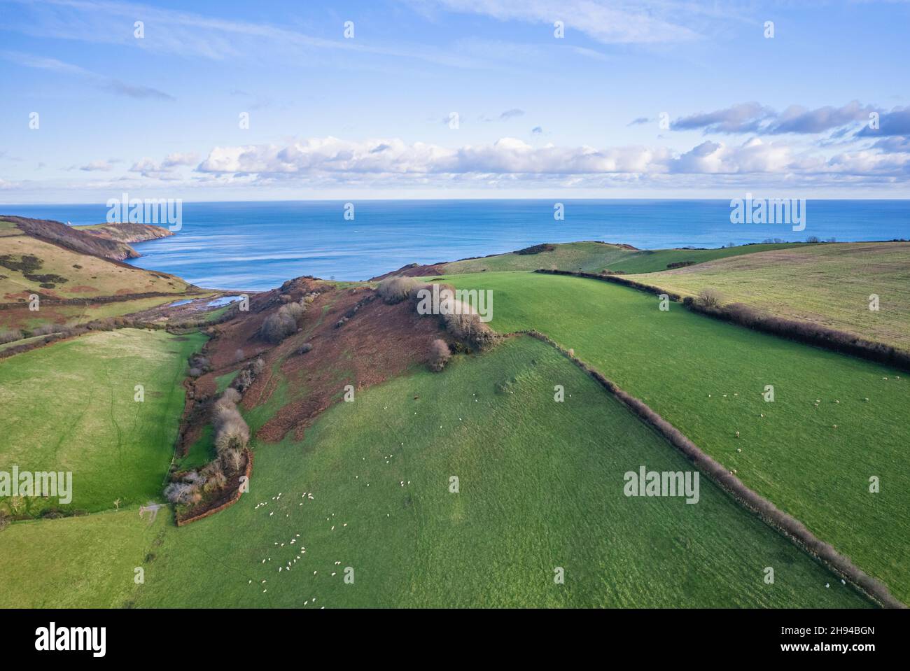 Farmlands over Man Sands, Brixham, Kingswear, Devon, England Stock ...