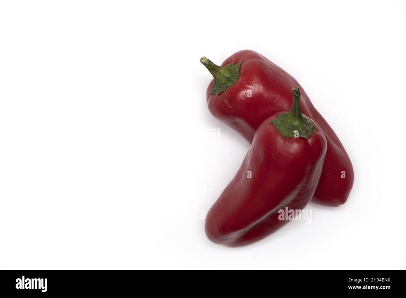 two colored paprika snack bell pepper pod in red isolated on white ...