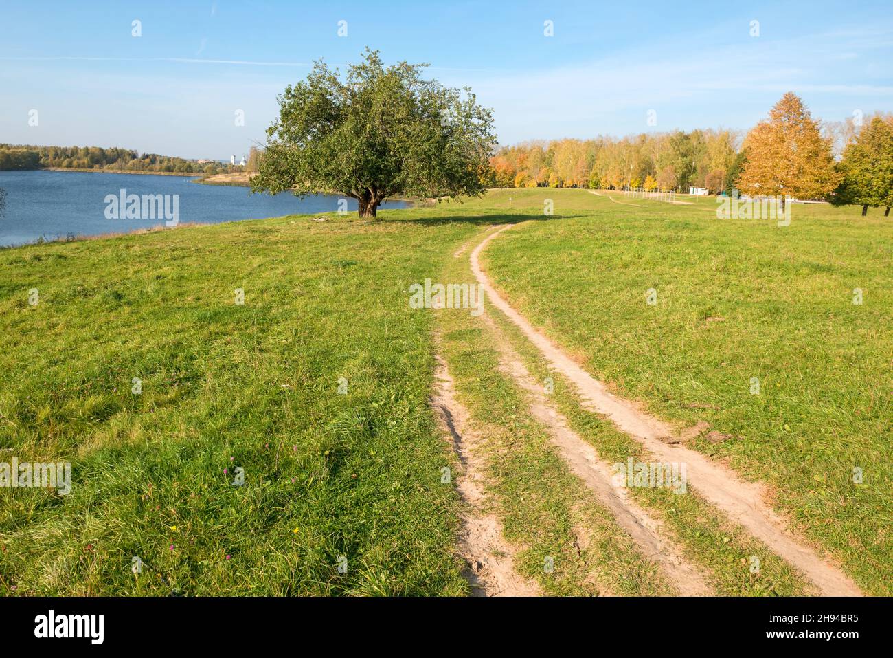 Rural track to a large spreading tree by the lake on an autumn day ...