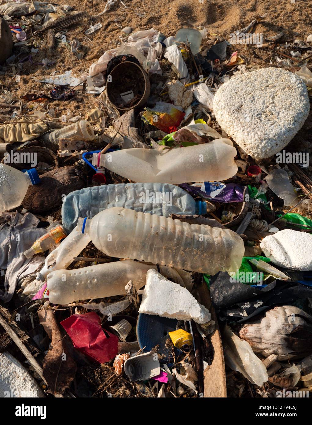 Beach of Sri Lanka is polluted with garbage Stock Photo - Alamy