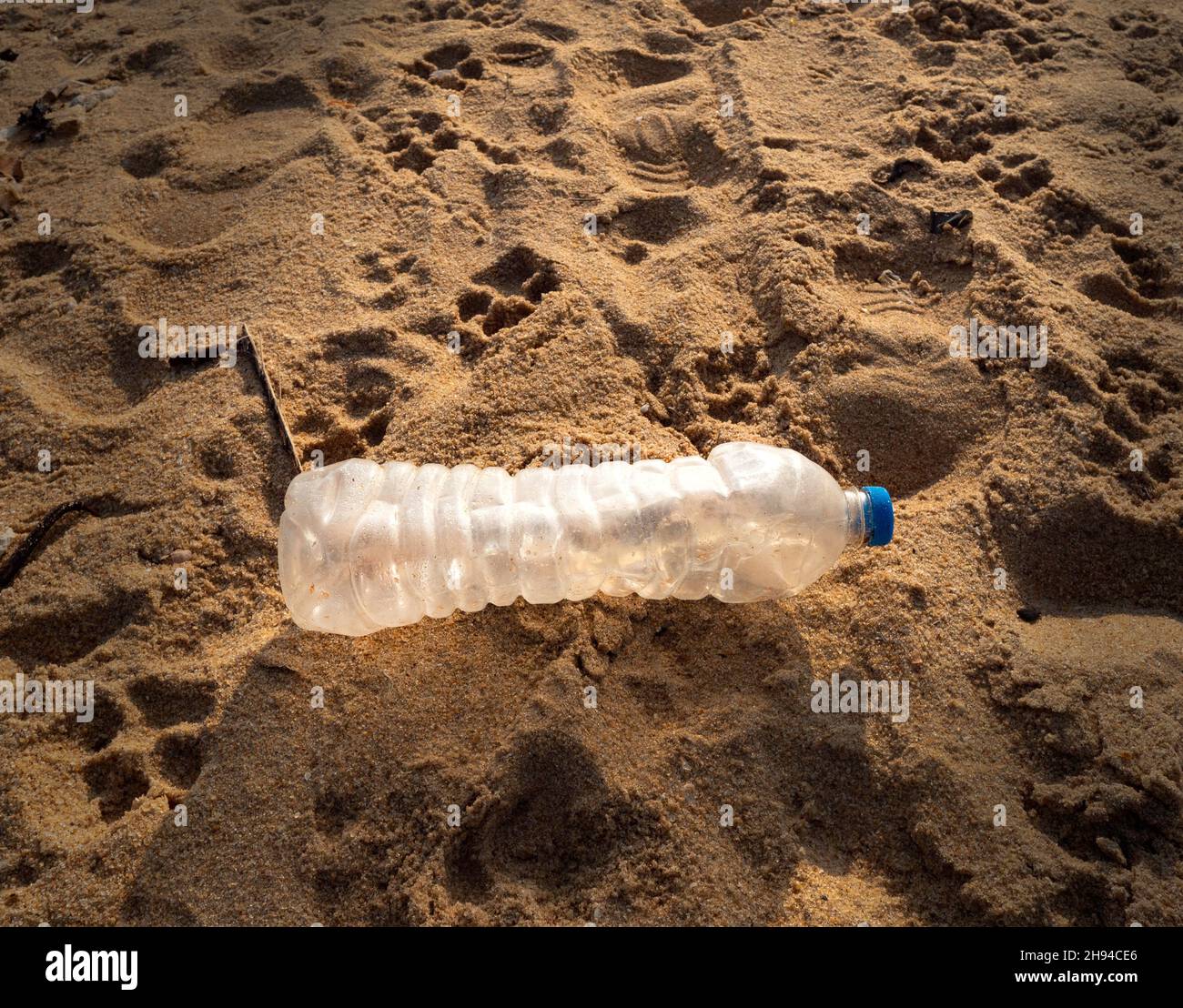 Beach of Sri Lanka is polluted with garbage Stock Photo - Alamy
