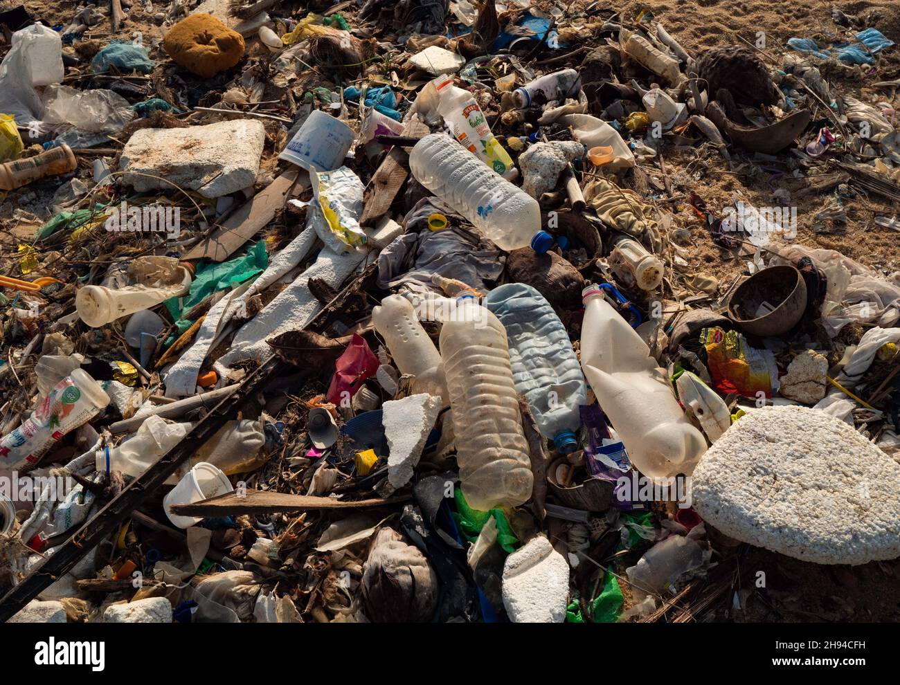 Beach of Sri Lanka is polluted with garbage Stock Photo - Alamy