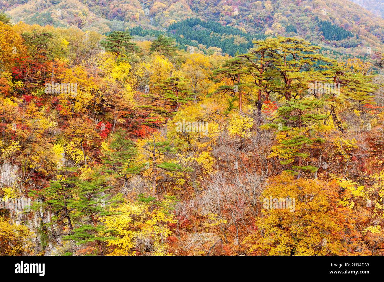 The Naruko Gorge valley with rail tunnel in Miyagi Tohoku Japan Stock ...