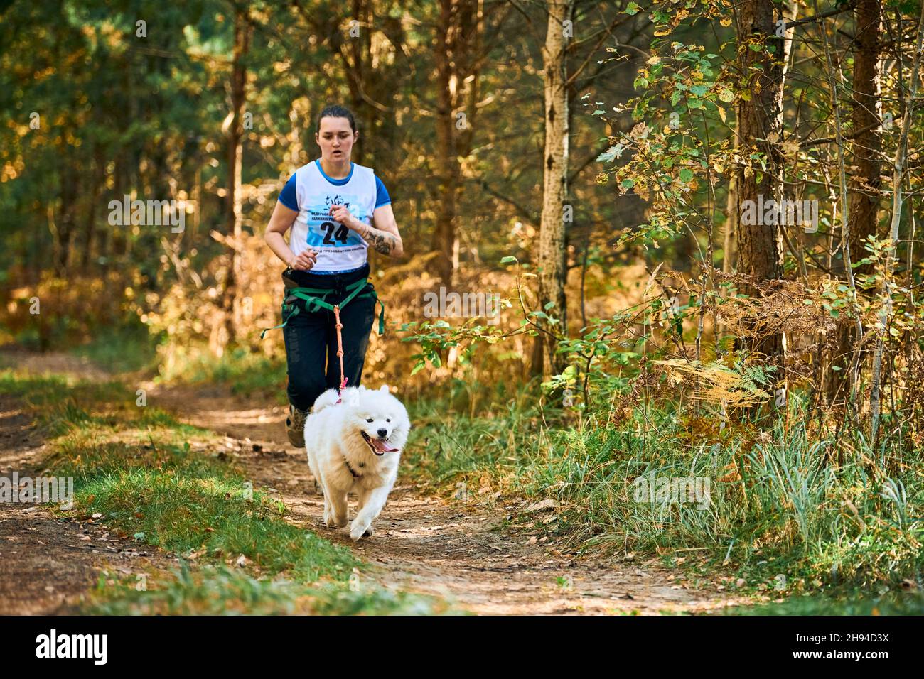 Canicross exercises hi-res stock photography and images - Alamy