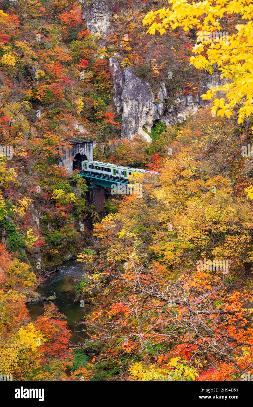 The Naruko Gorge valley with rail tunnel in Miyagi Tohoku Japan Stock ...