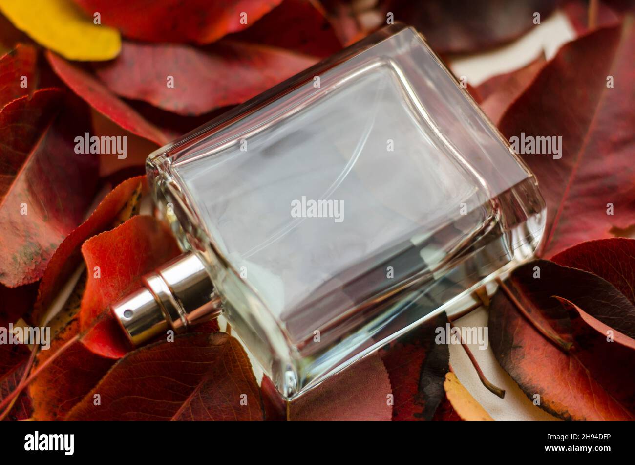 The men's perfume lies on red leaves. Men's perfume on a background of ...