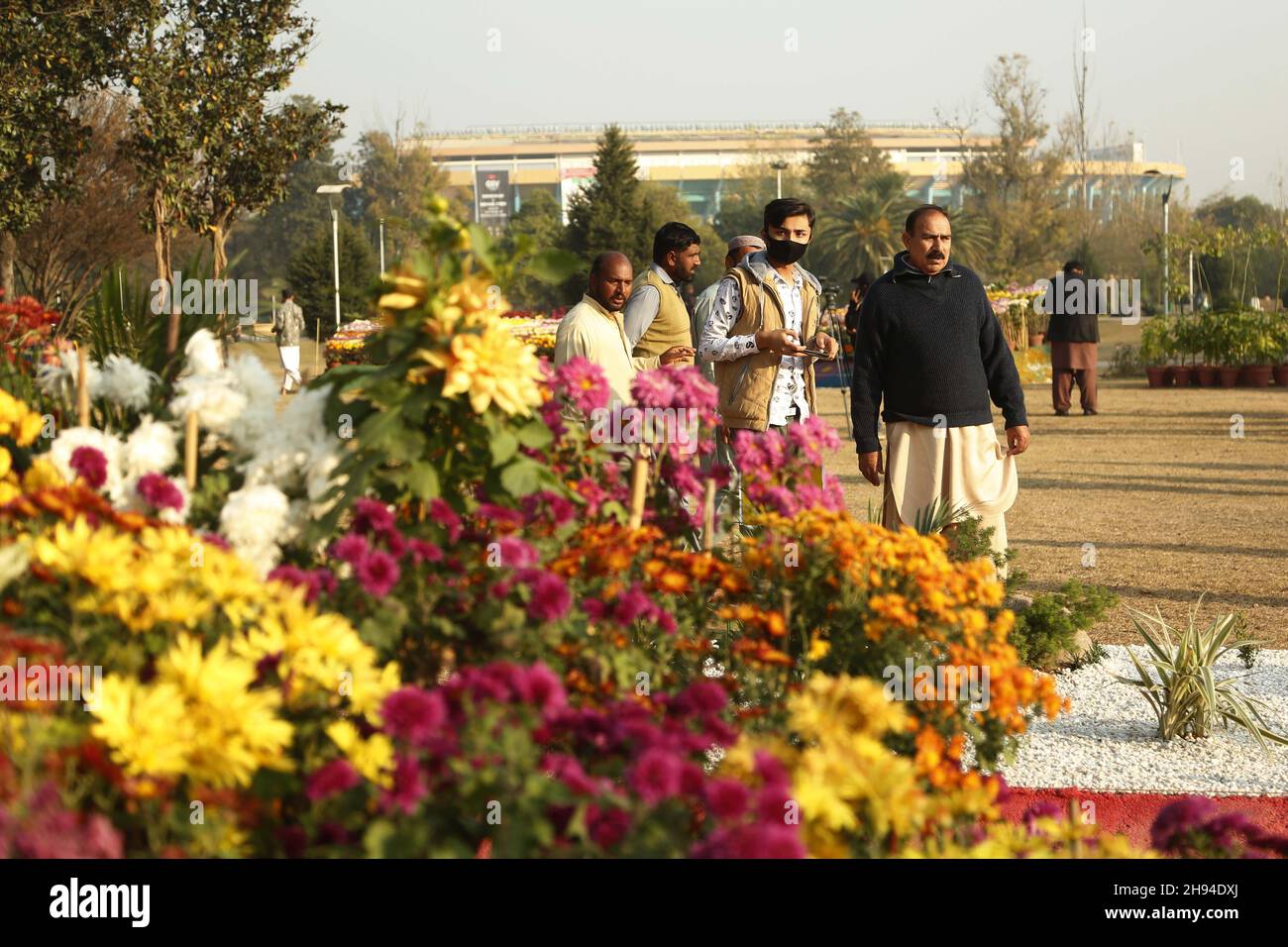 Chrysanthemum show off hi-res stock photography and images - Alamy