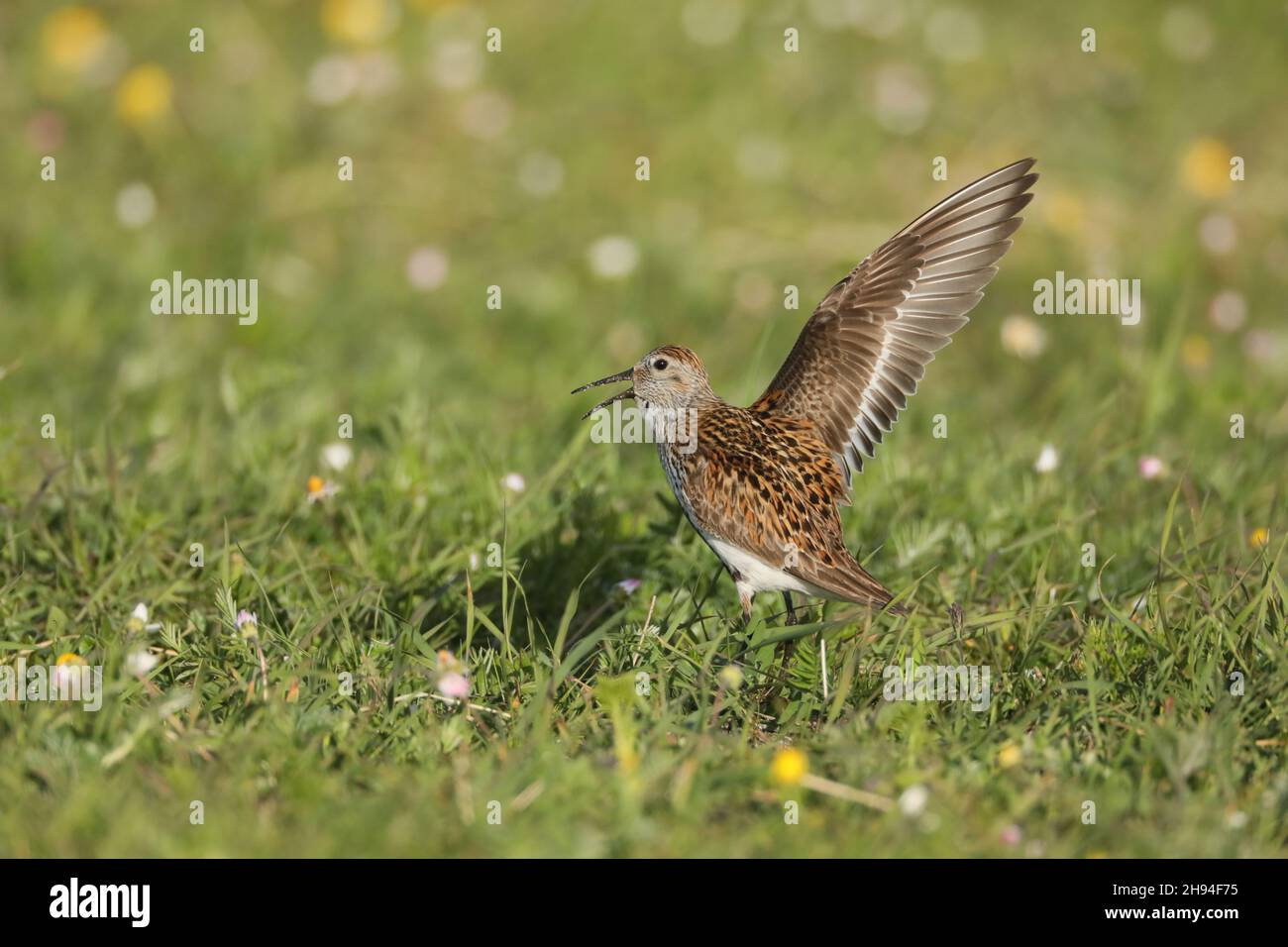 Black back groung hi-res stock photography and images - Alamy