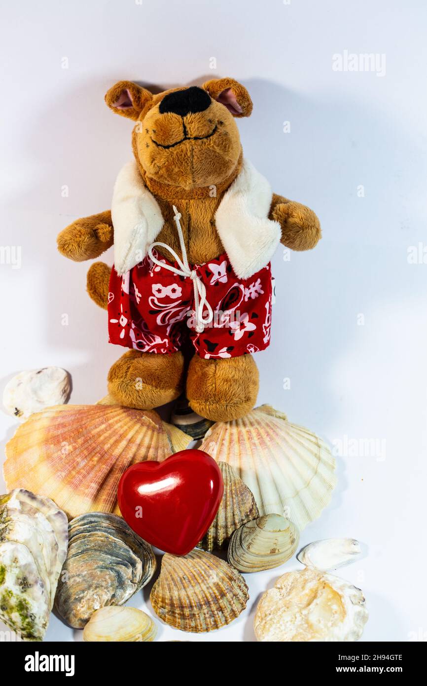 Holiday bear with heart and seashells, white background, bear, vacation ...