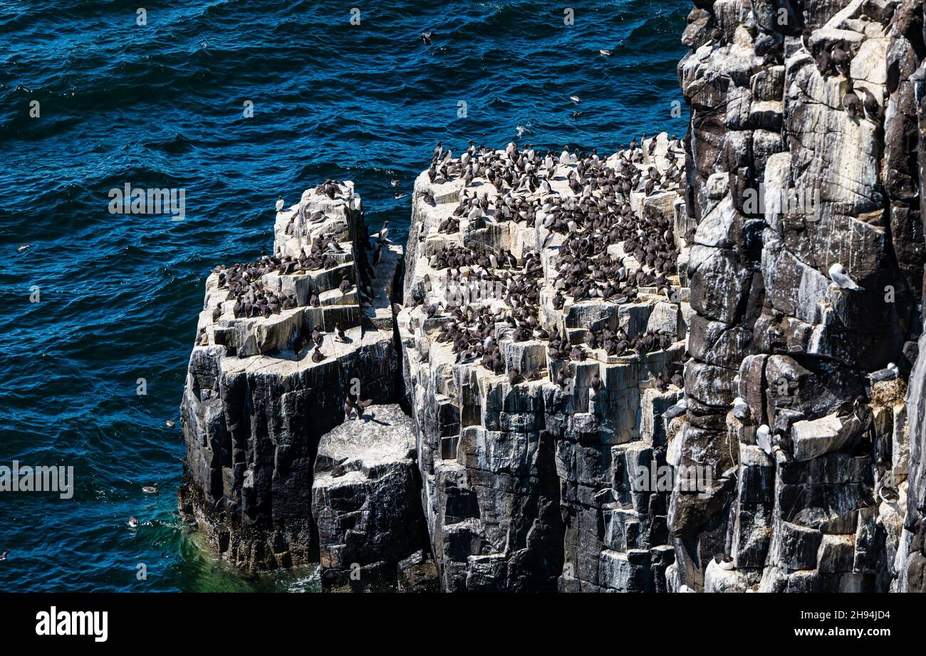 Low cliff hi-res stock photography and images - Alamy