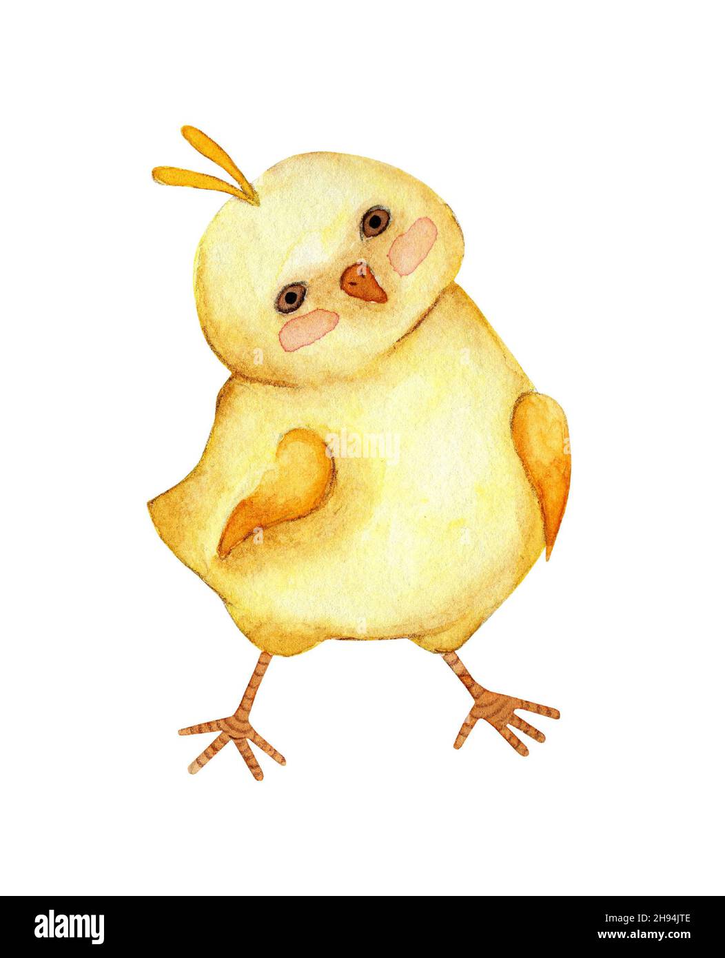 Watercolor illustration of a small cute yellow chicken standing with ...