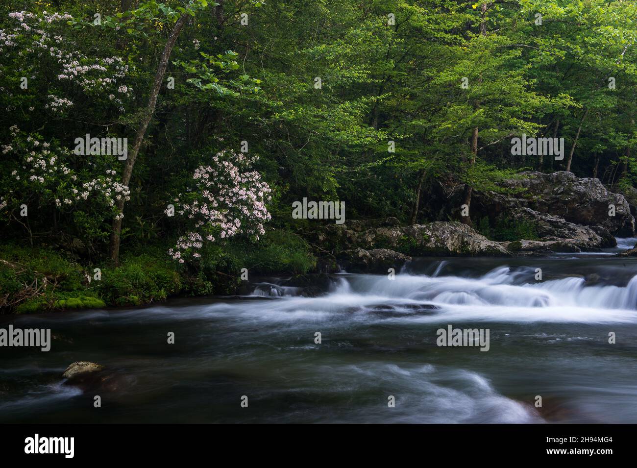 River in great smoky mountains national park Stock Photo - Alamy