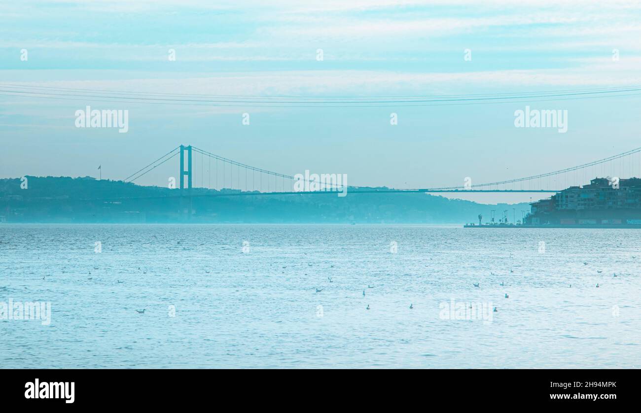 Beautiful strait view with blue sea and sky. Sea with full of seagull ...