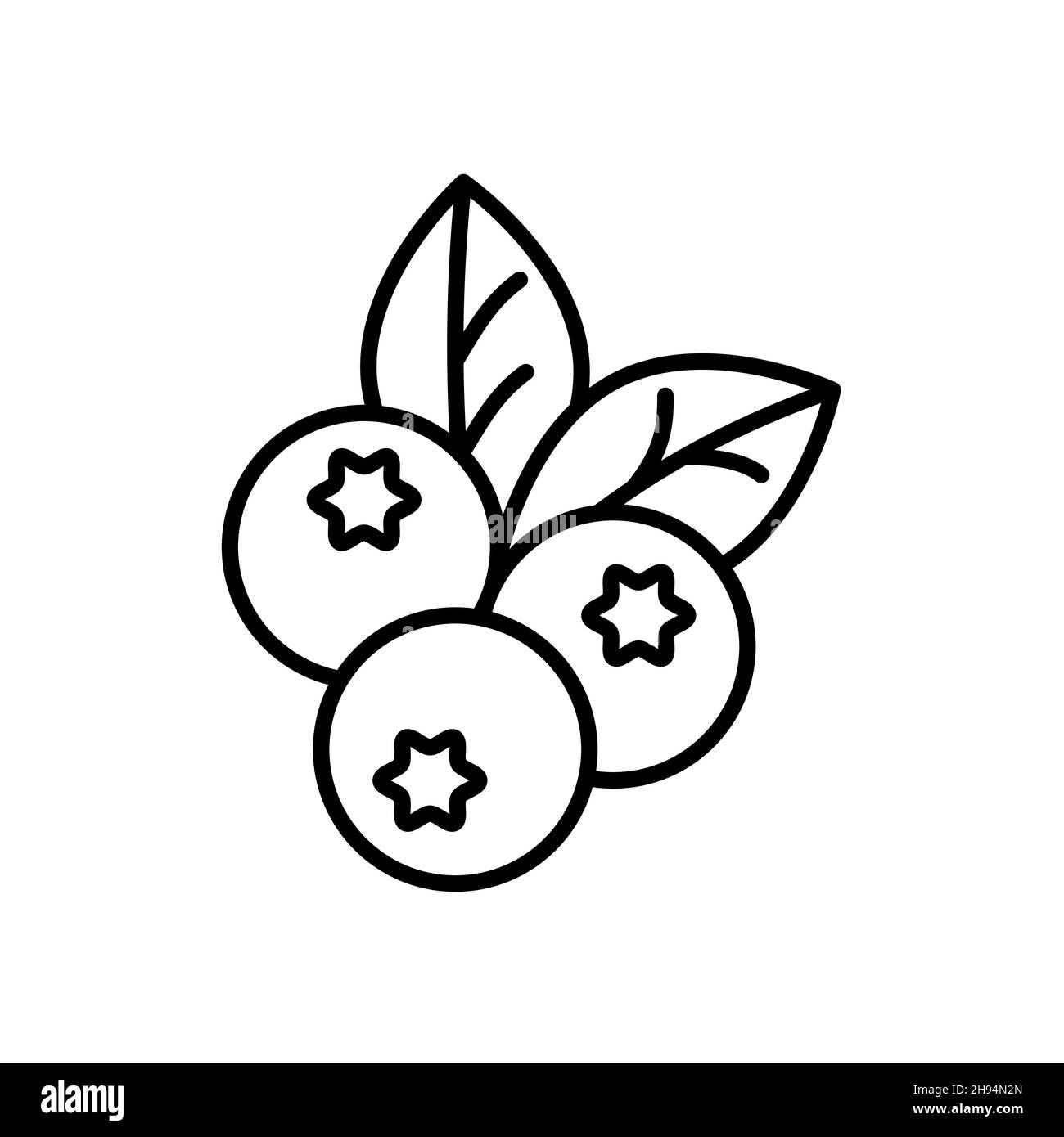 White background blueberries Black and White Stock Photos & Images - Alamy