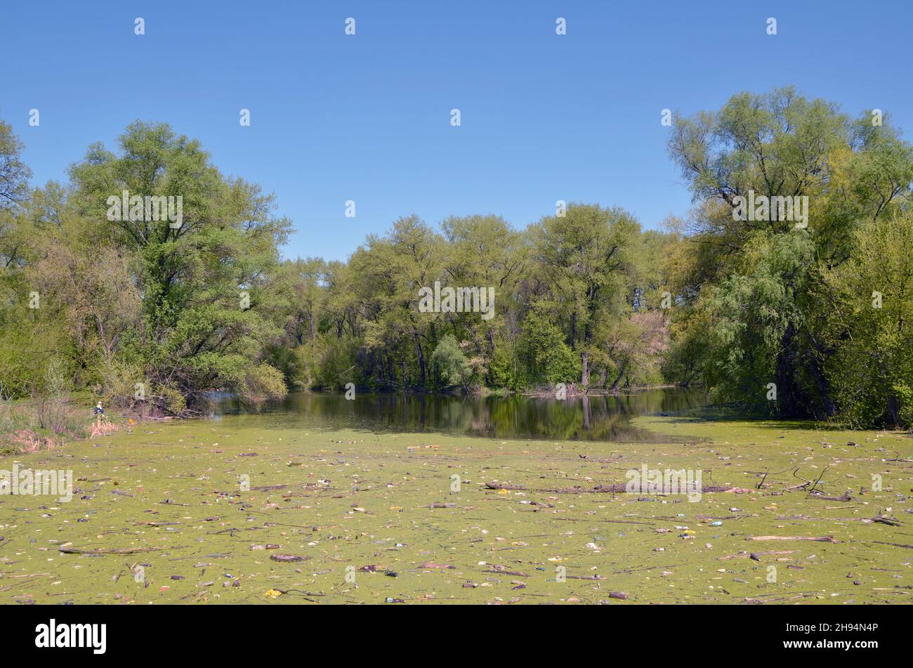 Garbage in the river Stock Photo - Alamy