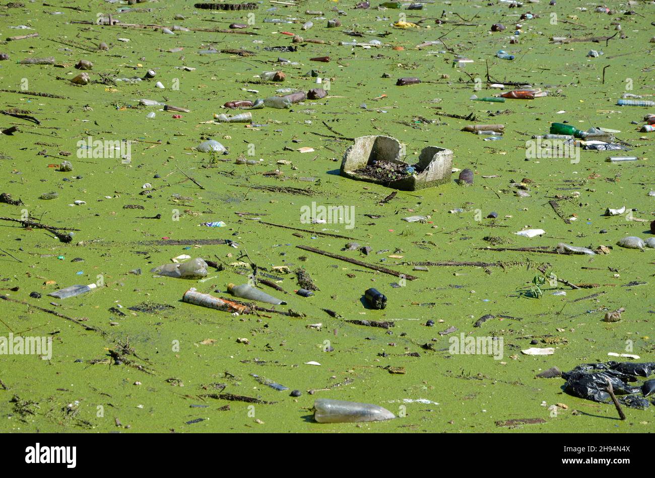 Garbage in the river Stock Photo - Alamy