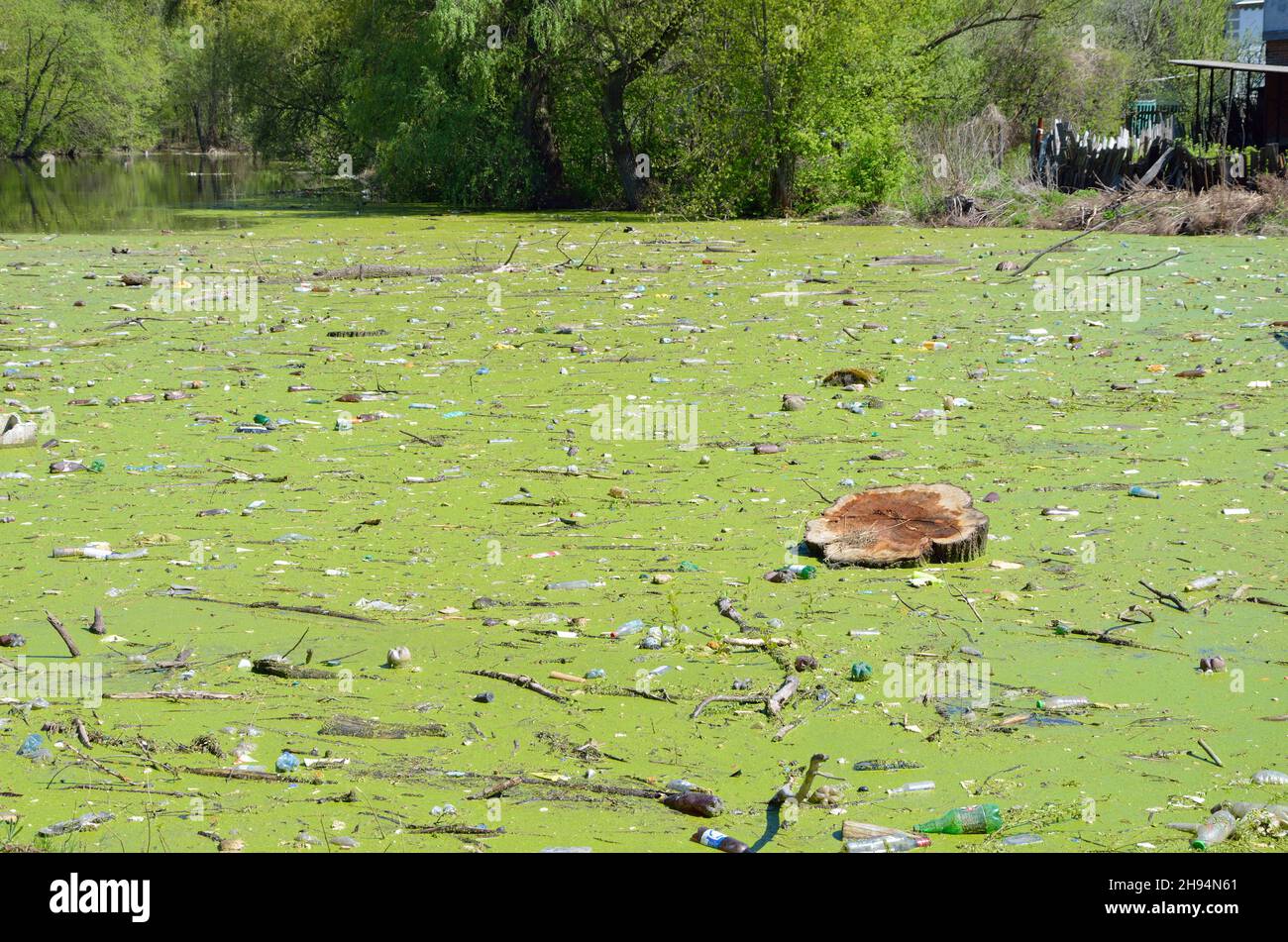 Garbage in the river Stock Photo - Alamy