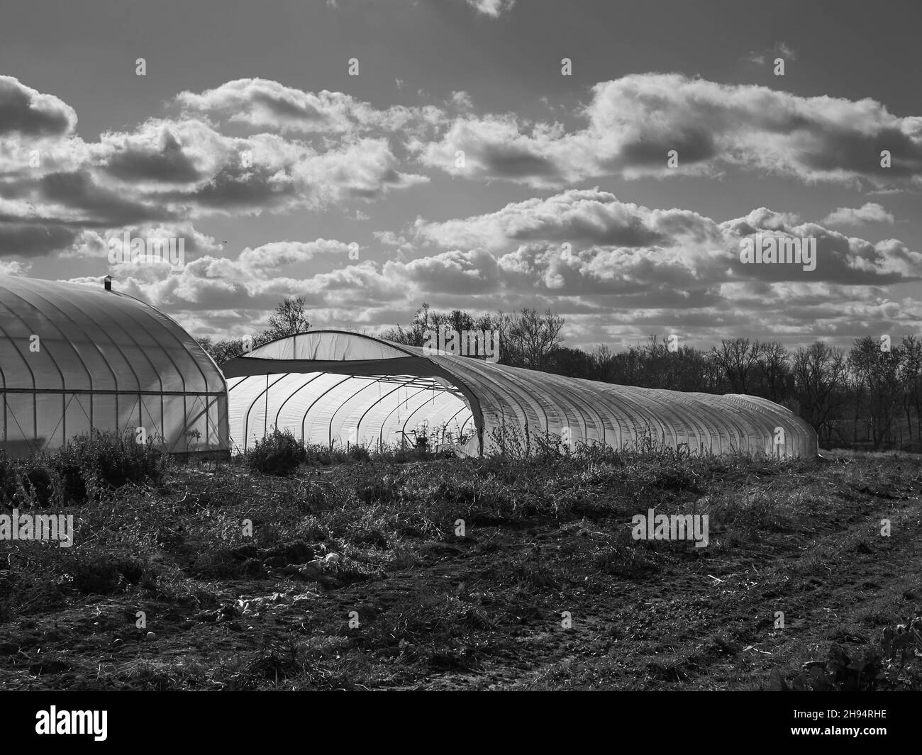 Hoop house, farm field, November, Lancaster County, PA Stock Photo - Alamy