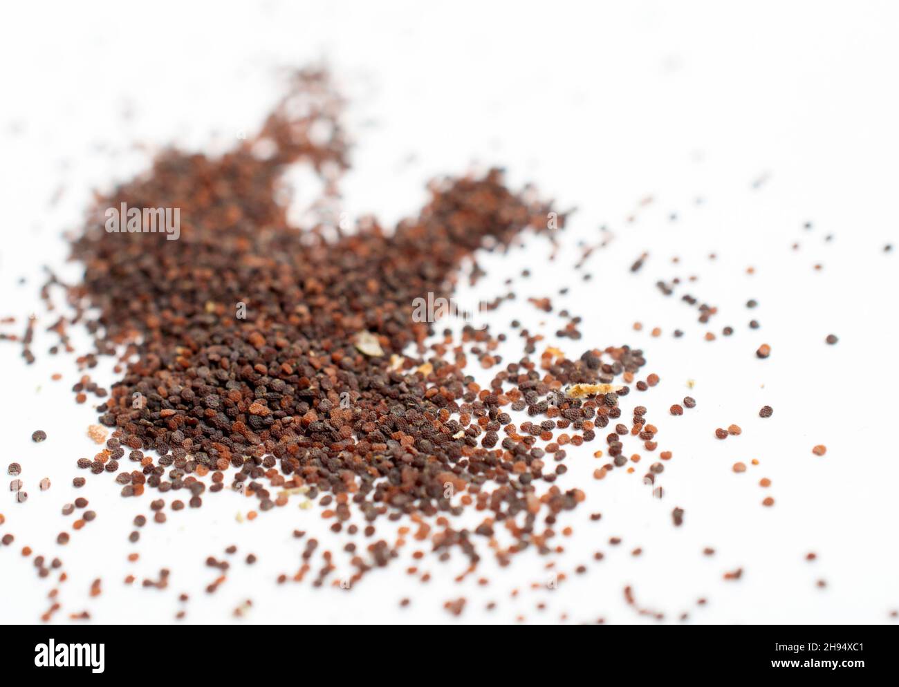 Opium Poppy seeds on white background Stock Photo - Alamy